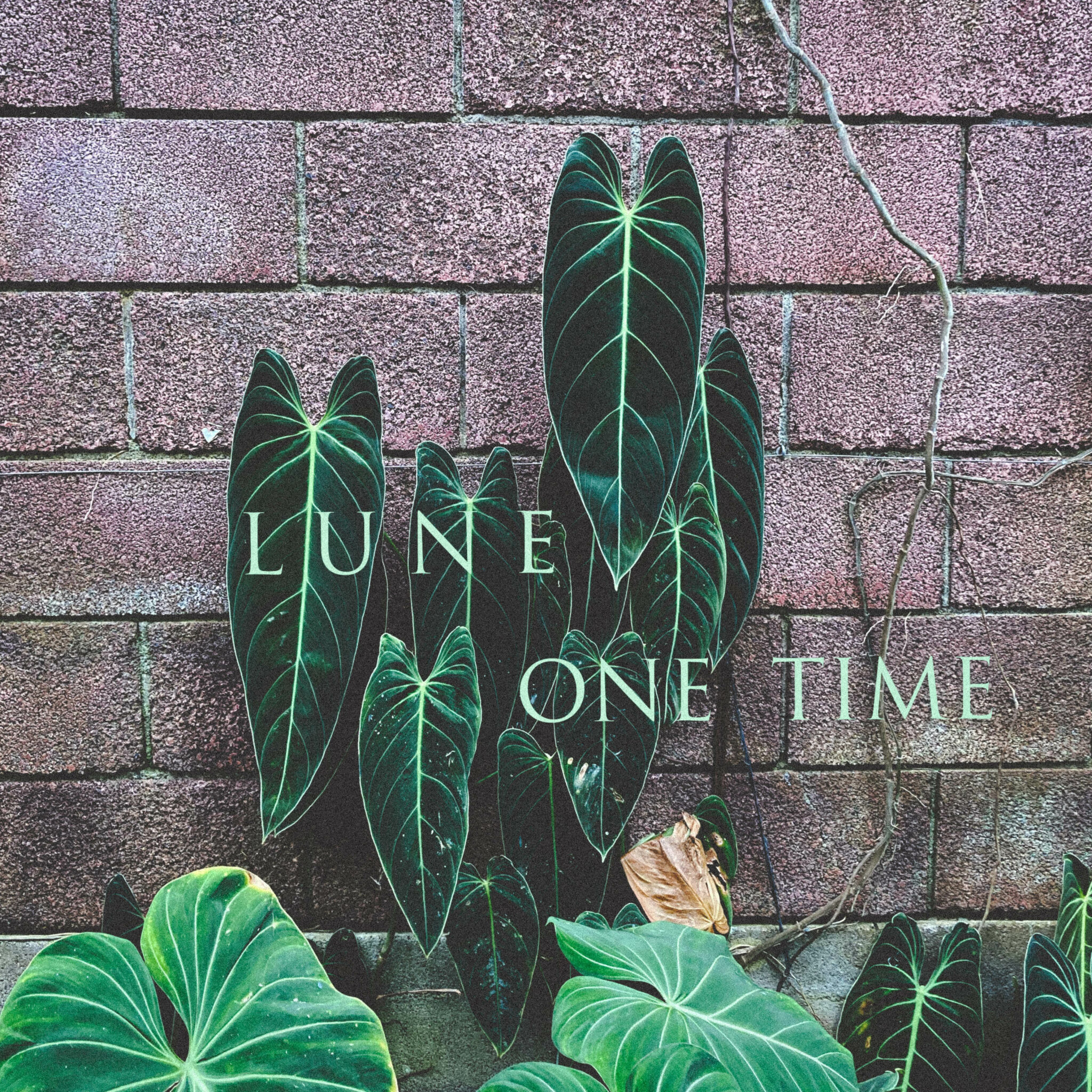 One Time - blumeblau